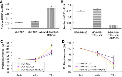 Hmgb3 Silence Inhibits Breast Cancer Cell Proliferation And Tumor Grow