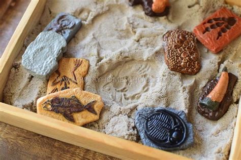 Montessori Inspired Dinosaur Activity Trays For Preschoolers Dinosaur