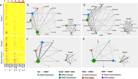The Gene Frequency And Taxonomic Composition Of Polar Metagenome