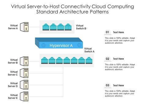 Virtual Server To Host Connectivity Cloud Computing Standard Architecture Patterns Ppt Diagram
