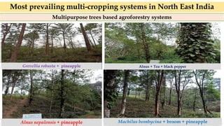Multi Cropping Pptx Agriculture Industries