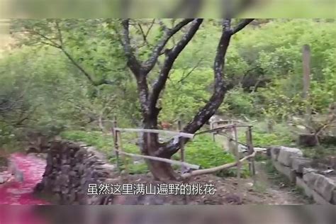 广东惊现一块奇石，被雷电劈成两半，石顶还长出神秘的“脚趾”石顶奇石雷电