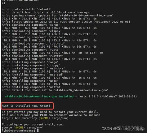 Linux VScode搭建Rust开发环境本章节开始讲解Rust开发相关的知识此次从Rust开发环境编辑环境的搭建 掘金