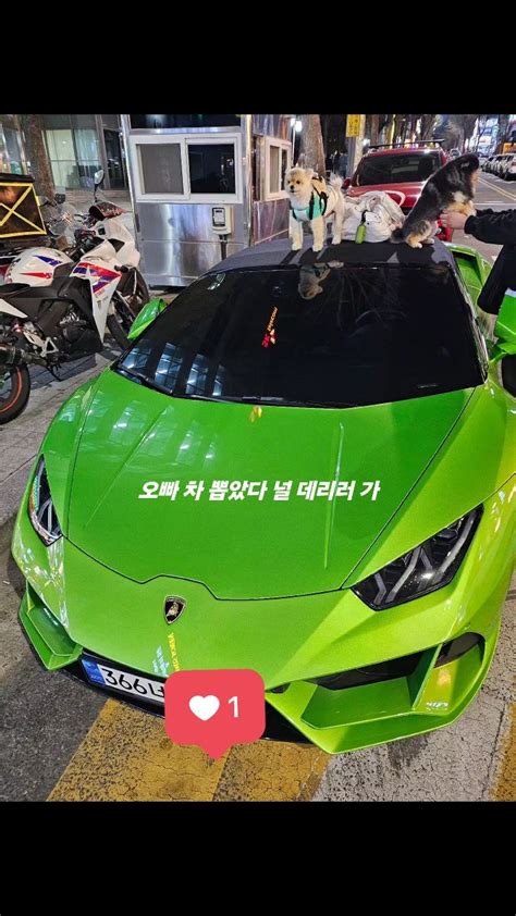 햇살이 부드럽게 들어오는 마당에서 꿈나라에 빠져 있었는데 갑자기 매미가 그의 코에 올라타는 바람에 놀라서 잠에서 깨어났답니다 매미가 코에 올라타서 간지럽혔는지