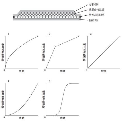 ある経皮吸収型製剤の断面図（模式図）を以下に示す。in Vitro放出試験における本製剤からの累積薬物放