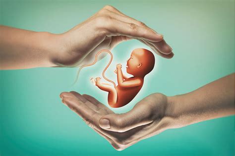 خدمات مورد پوشش بیمه برای ناباروری اینفوگرافیک خبرآنلاین