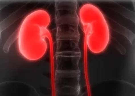 肾小球肾炎会不会最终进展成尿毒症？肾炎也分很多种类？ 12健康