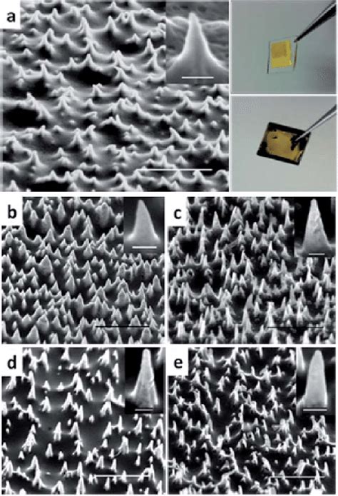 various as formed metal nanocone arrays a sem image of an au