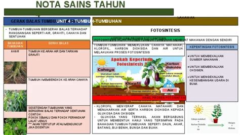 Nota Sains Tahun 4 Fotosintesis Hasil Fotosintesis Worksheet Andrea Lo Duca