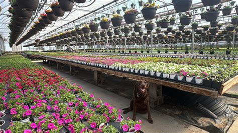 Trinity Lutheran Church Monday Morning Prayer Dear God On This All Saints Day We Give You