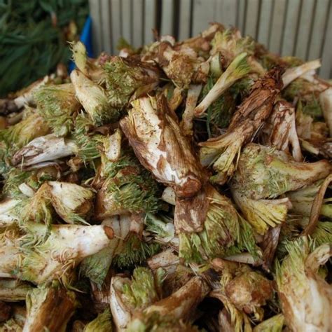 Kenger › Yöresel Ürünler Karlıova Bingöl