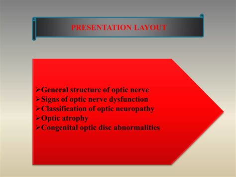 Optic Nerve And Its Disorders Ppt