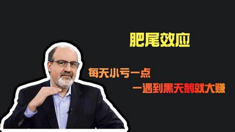 塔勒布与肥尾效应不被黑天鹅愚弄的智慧所在左派认为市场是愚蠢的所以模型应该是聪明的右派认为模型是愚蠢的所以市场应该是聪明的双方都从来