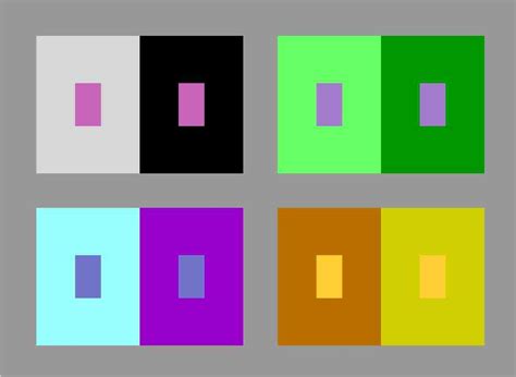 Color Theory Assignments Exploring Color Perception