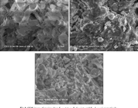 PDF Phytochemical Evaluation Of Marine Algae From Various Coastal Regions Of Tamil Nadu India