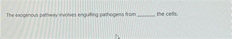 Solved The Exogenous Pathway Involves Engulfing Pathogens