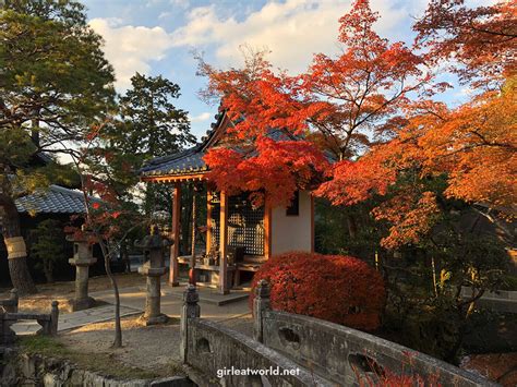 Visit Japan Web Step By Step How To Register Your Arrival In Japan Girl Eat World
