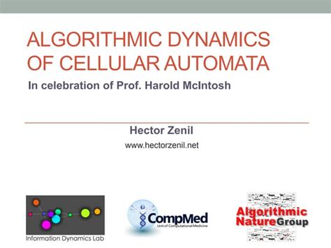 Algorithmic Dynamics Of Cellular Automata Ppt
