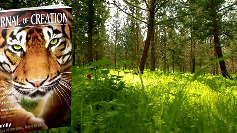 Journal Of Creation Peer Reviewed Cutting Edge Research · Videos