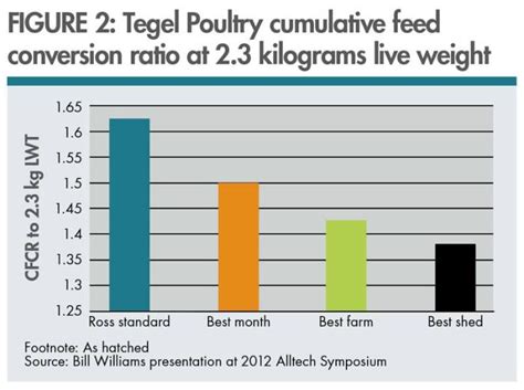 New Zealands Tegel Poultry Achieves Worlds Best Feed Conversion