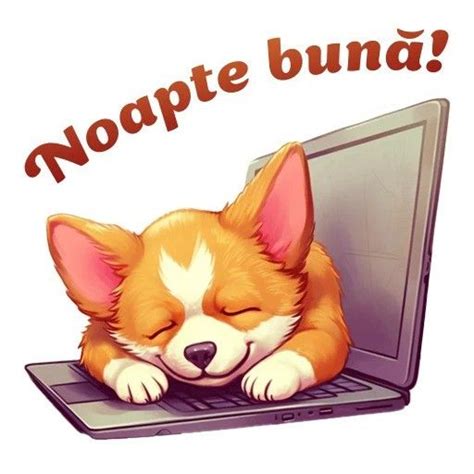 Pin Di Alina Gabriela Su Bună Seara Noapte Bună