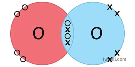 O2 Oksijeni Covalent Bonding Dot Cross Diagram Science Ks4 Illustration