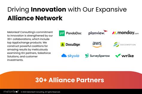 Alliance Partnerships