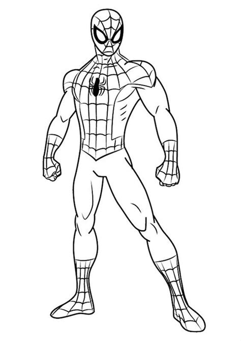 Dibujo para colorear de Spiderman el hombre araña Spiderman dibujo