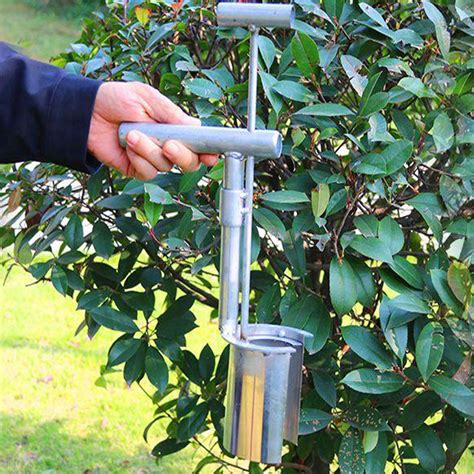 🌳Трансплантация на растителен разсад и плодни дръвчета🌱 Globaltimo