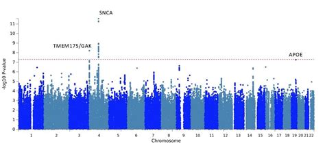Manhattan Plot Of Parkinsons Disease Age Of Onset Gwas Based On Meta