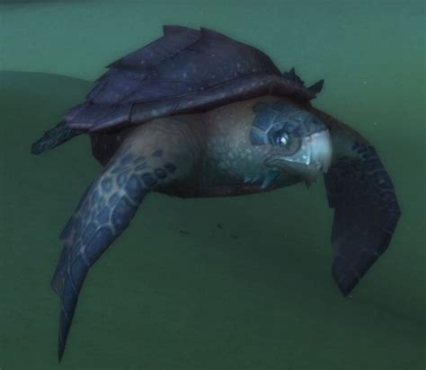 Wandering Sea Turtle Warcraft Wiki Your Wiki Guide To The World Of