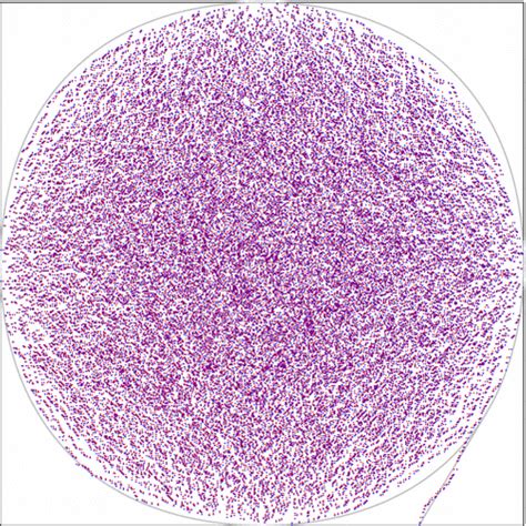 A Typical Configuration Of The Six Vertex Model On A Rectangular Download Scientific Diagram