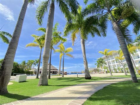 Kerry Ann Quallo Casserly Mba On Linkedin Jamaica Travel