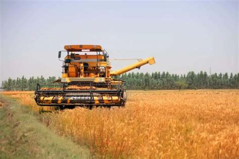 Conventional Farming Vs Organic Farming Differences And Similarities