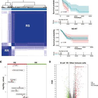 Definition Process Of The RS Versus RR Groups And The Identification Of Download Scientific