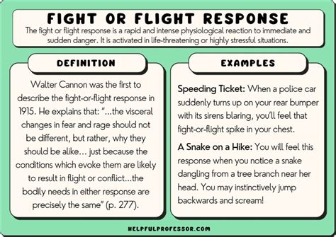 Fight Or Flight Response Psychology 15 Examples 2025