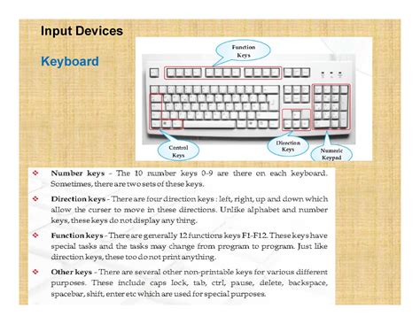 Lecture 6 Slides For Fundamental Computer Information Input Devices
