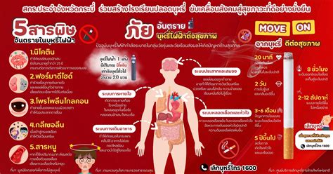 สำนักงานส่งเสริมการเรียนรู้ประจำจังหวัดกระบี่ 📣 สำนักงานส่งเสริมการเรียนรู้ประจำจังหวัดกระบี่