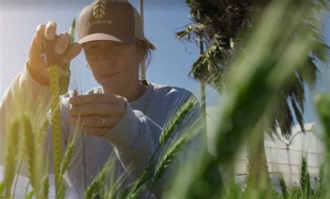 Corteva Compró A Symborg Una Empresa Española Que Fabrica Insumos