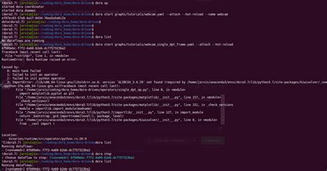 Accidentally Dora Command Is Unresponsive And Stuck Issue Dora Rs Dora Github