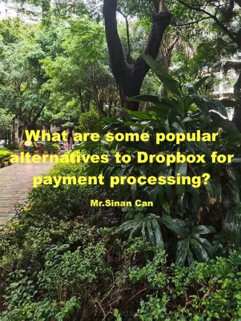 🔴 what are some popular alternatives to dropbox for payment processing