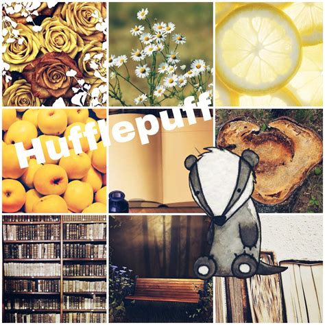 Hufflepuff Moodboard Harry Potter Amino