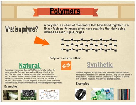 Infographic Polymers A Journey Into Science