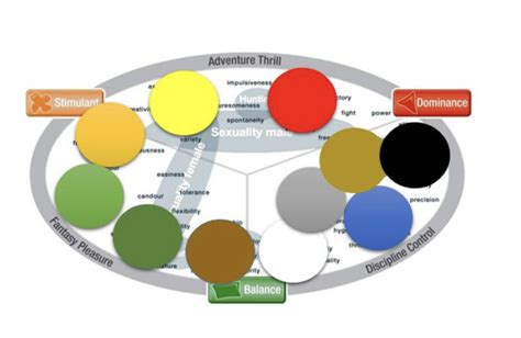 How To Use Limbic Map Test With Brainact In 5 Steps Persuadelab