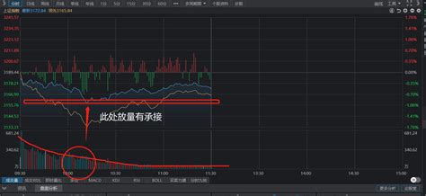 缩量上涨放量下跌，接下来还要继续跌？种种迹象表明走势确定了！ 哔哩哔哩