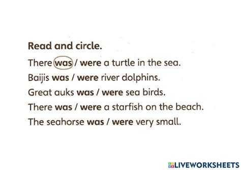 Sm3 Unitt5 Hw11 2329966 Ekaterina Andronova Live