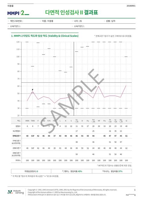 Mmpi 2 Sct 성격건강 검사 및 해석상담