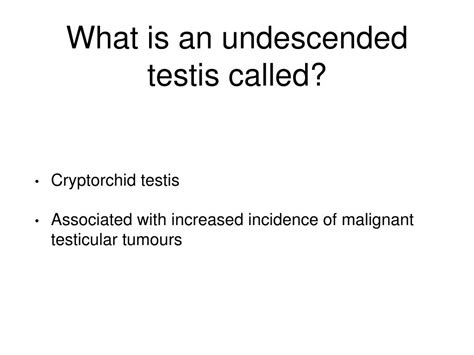 Ppt Male Reproductive Tract Powerpoint Presentation Free Download