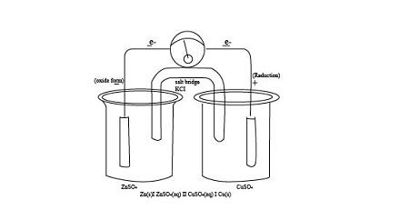 Describe An Electrochemical Cell Homework Study Com