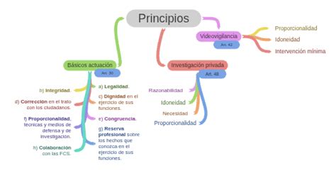 principios básicos actuación razonabilidad necesidad idoneidad …